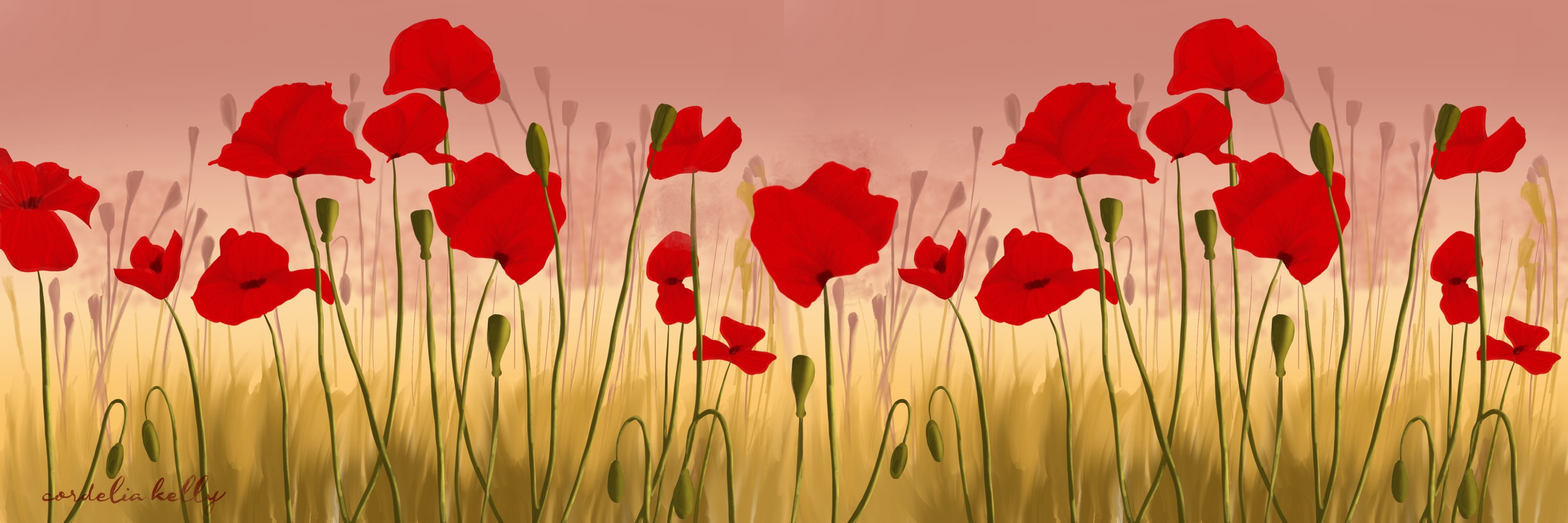 PoppyBackground | Cordelia Kelly